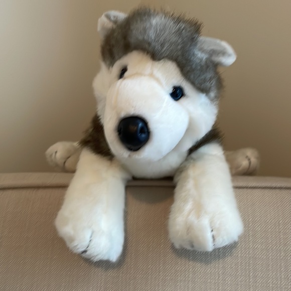 Build-A-Bear | Toys | Stuffed Animal Husky Dog | Poshmark